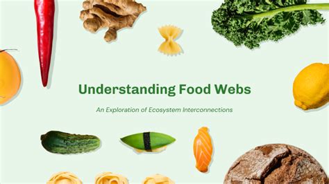 Understanding Food Webs By Amie Triplett On Prezi