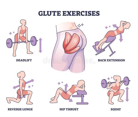 Exercises Glute Stock Illustrations Exercises Glute Stock Illustrations Vectors Clipart