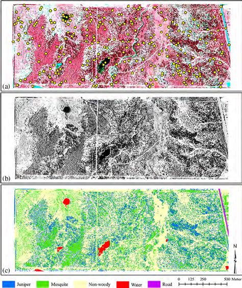 The Color Infrared Imagery With 1 M Spatial Resolution And Validation