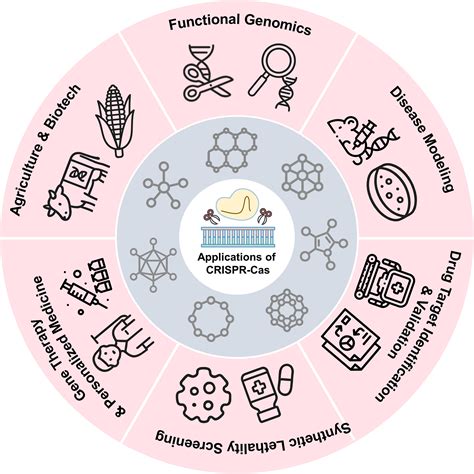 Recent Applications Future Perspectives And Limitations Of The Crispr