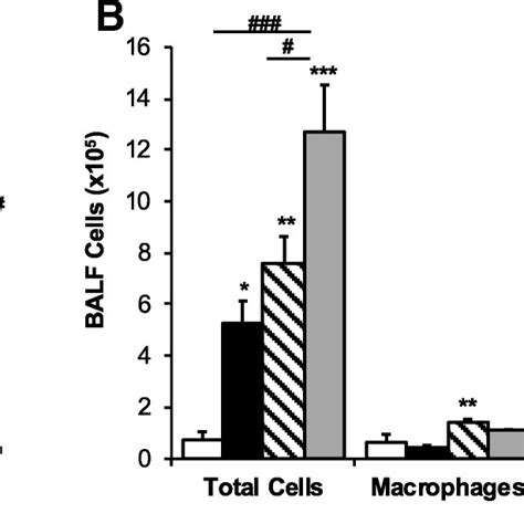 Airway Hyper Responsiveness And Inflammatory Response With Co Exposure Download Scientific
