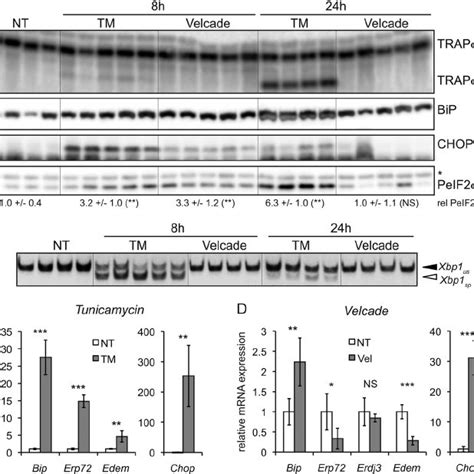 General Beta Blocker Structure Aryloxypropanolamines Download Scientific Diagram