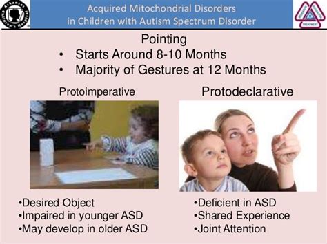 Mito Action 2014 Mito Action 2014