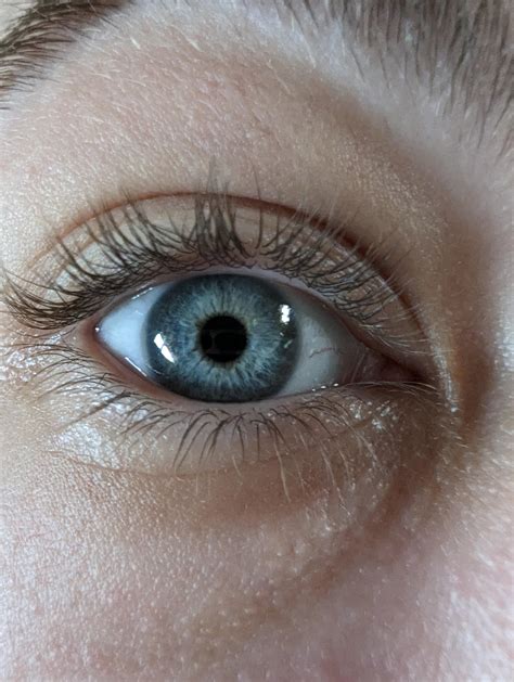 What Color Are My Moms Eyes Reyes