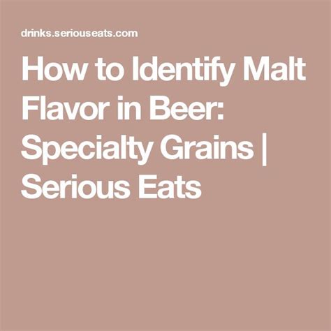 How To Identify Malt Flavor In Beer What Does Malt Taste Like In Beer