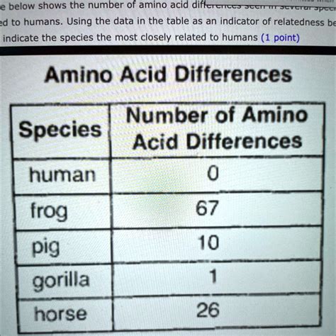 The Table Below Shows The Number Of Amino Acid Differences Seen In Several Species Compared To