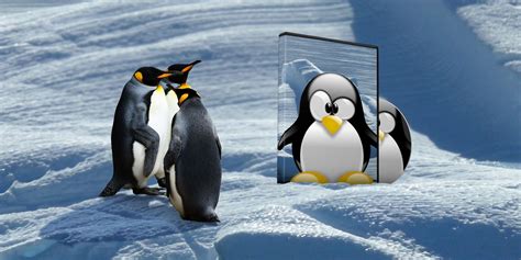 How To Build Your Own Bootable Linux Live Cd