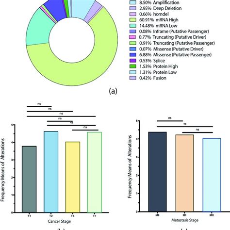 Genomic Transcriptomic And Proteomic Alterations A A Donut Chart Download Scientific