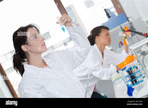 Beautiful Female Lab Worker Holding Up Test Tube Stock Photo Alamy