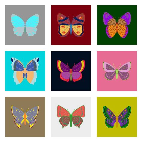 화려한 나비 벡터의 플랫 아이콘 큰 컬렉션 Eps Ai Uidownload