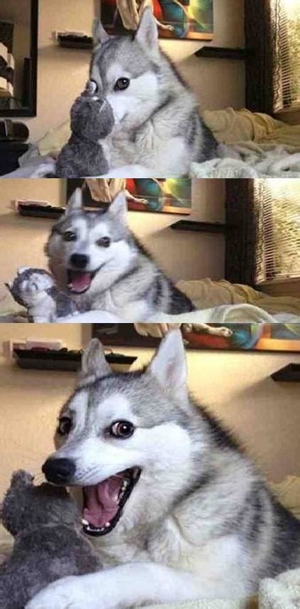 Dog Joke Blank Template Imgflip