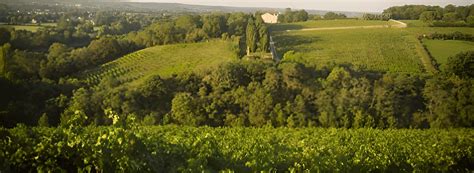 Nicolas Joly Vang Pháp Sành Rượu