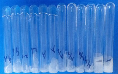 Microbial Load Test Bioburden Test