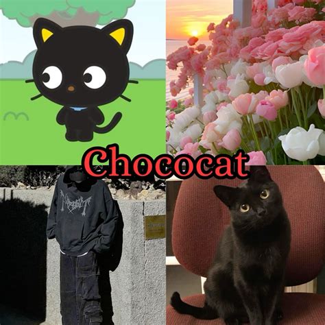 Chococat Aesthetic In 2025 Hello Kitty Items Choco Cat Aesthetic