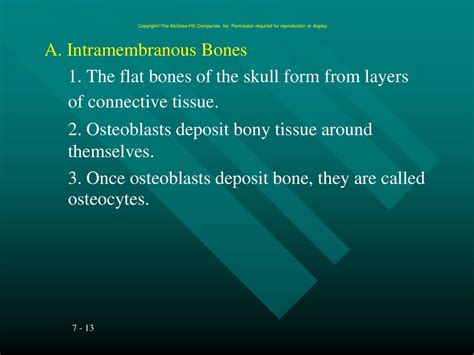 Chapter 7 Skeletal System Ppt Download