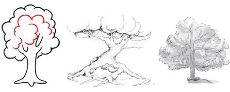 Ways Drawings Step By Step Very Bright Cartoon Tree