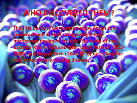 Bacteria Ppt