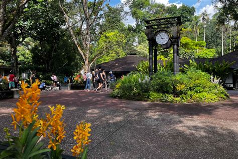 Botanical Gardens In Singapore Unesco World Heritage Site