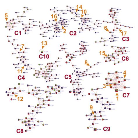 Metabolomics Workflow Showing The Molecular Networking Approach And Download Scientific Diagram