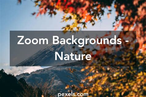 Zoom Backgrounds Nature · Pexels
