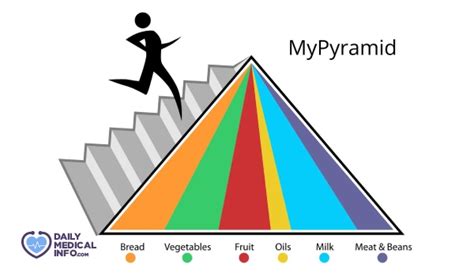 ما هو الهرم الغذائي وفوائده Food Pyramid دليل شامل ديلي ميديكال انفو