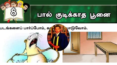 දෙවන බස දෙමළ 10 ශ්‍රේණිය 8 වන පාඩම කිරි නොබොන බළලෙක් Youtube