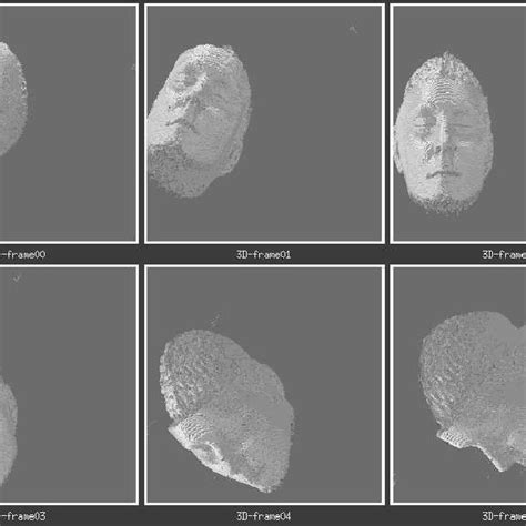 Projection Plane And Voxel Shadows 2 Volume Processing Algorithms Download Scientific Diagram