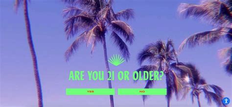 How To Add An Age Verification Popup To Your Website Optimonk Blog