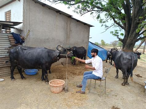 Akashprajapati Akashprajapati01 • Instagram Photos And Videos