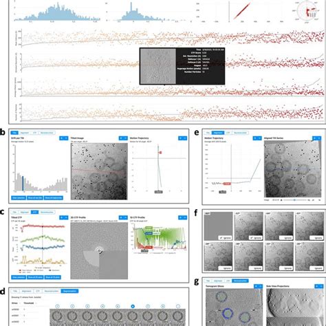 Comprehensive End To End Pipeline For Single Particle Cryo Electron Download Scientific Diagram