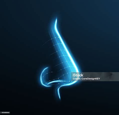 코 추상 벡터 그림입니다 파란색으로 격리되었습니다 코 성형 알레르기 성 비염 여성 성형 외과 의사 얼굴 수술 프로필 교정 코 성형 개념 코에 대한 스톡 벡터 아트 및 기타