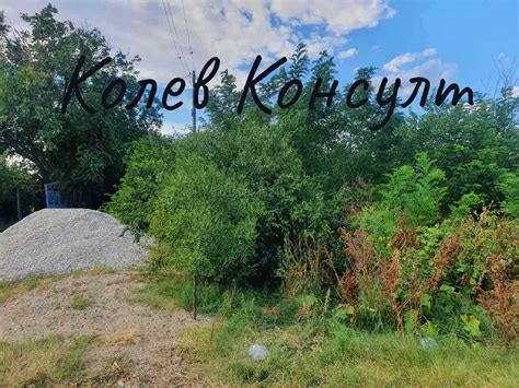 Димитровград Продавам парцел в с Радиево Продажба 800 кв м В регулация УПИ С ток Водопровод