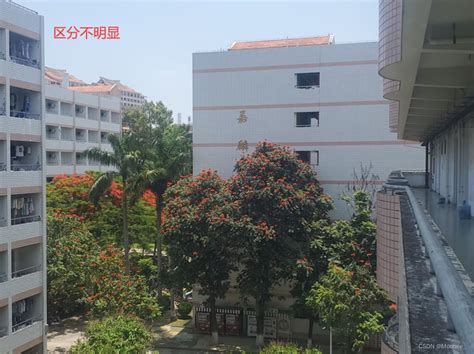 计算机视觉实验五——图像分割 图像分割实验报告 csdn博客