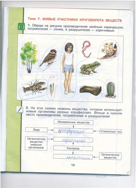 Гдз 3 класс окруж мир раб тетрадь: ГДЗ часть 2 (страница) 73 окружающий ...