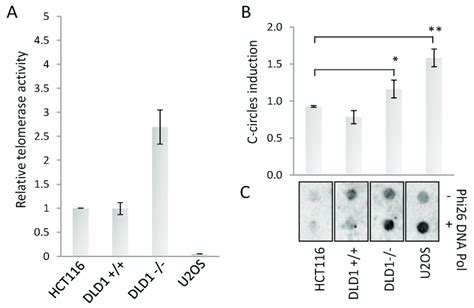 A Real Time Quantitative Telomerase Repeat Amplification Protocol