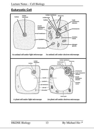 Lecture Notes Cell Biology PDF