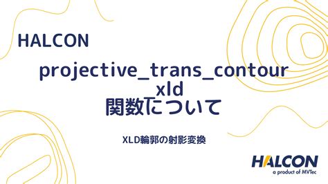 【halcon】projective Trans Contour Xld 関数について Xld輪郭の射影変換