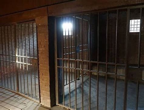 1년째 비가 오나 눈이 오나 경찰서 앞에 앉아있는 강아지의 속사정 애니멀 플래닛