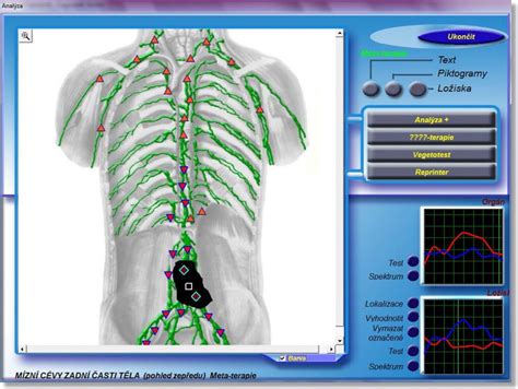 Oberon Nls Vector Nls Nls Vector Vector Nls Scan Vector Nls Device 9d Nls