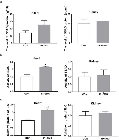 The Effects Of The Simulated Spatial Environment On Cardiac And Renal Download Scientific