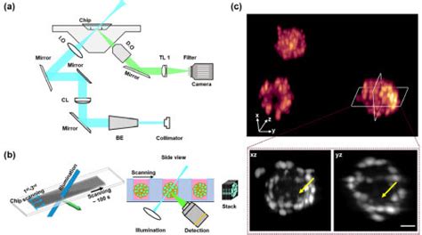 The Open Top Lsfm System A Schematic Showing The Open Top Lsfm