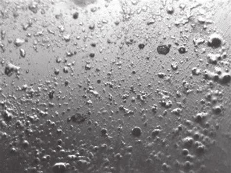 A Reflectance Microscope View Of Sample S19 Showing Immiscible Phases Download Scientific