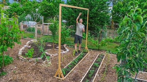 Tomato Trellis Ideas 9 Creative Diy Tomato Trellis Ideas Gardening Ideas