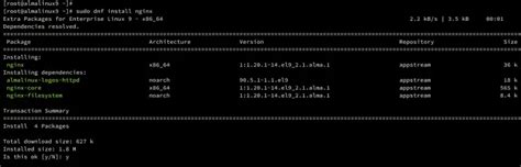 How To Install Apache Tomcat With Nginx Reverse Proxy On Almalinux 9