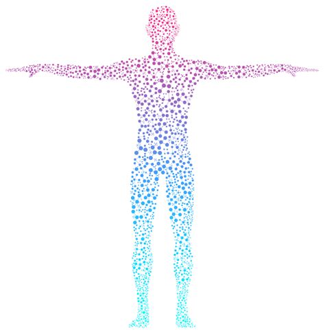 What Is Interoception Kelly Mahler