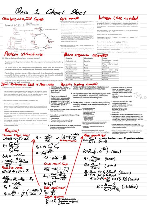 cheat sheet quiz1 check quiz 1 cheat sheet glucolysis citic tca