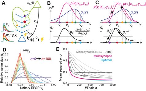 A Conceptual Model Of Multisynaptic Learning A Schematic Figure Of The Download Scientific