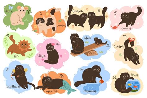 Cats Zodiac Signs 60 Photos