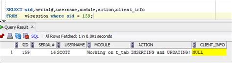using dbms application info built in package in oracle