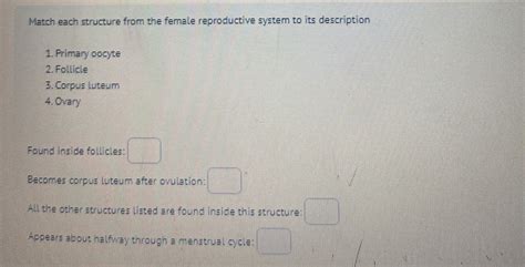 Match Each Structure From The Female Studyx